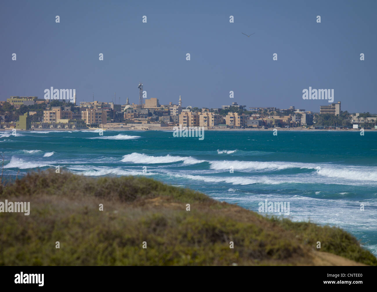 Leptis Magna Roman Site, Libya Stock Photo - Alamy