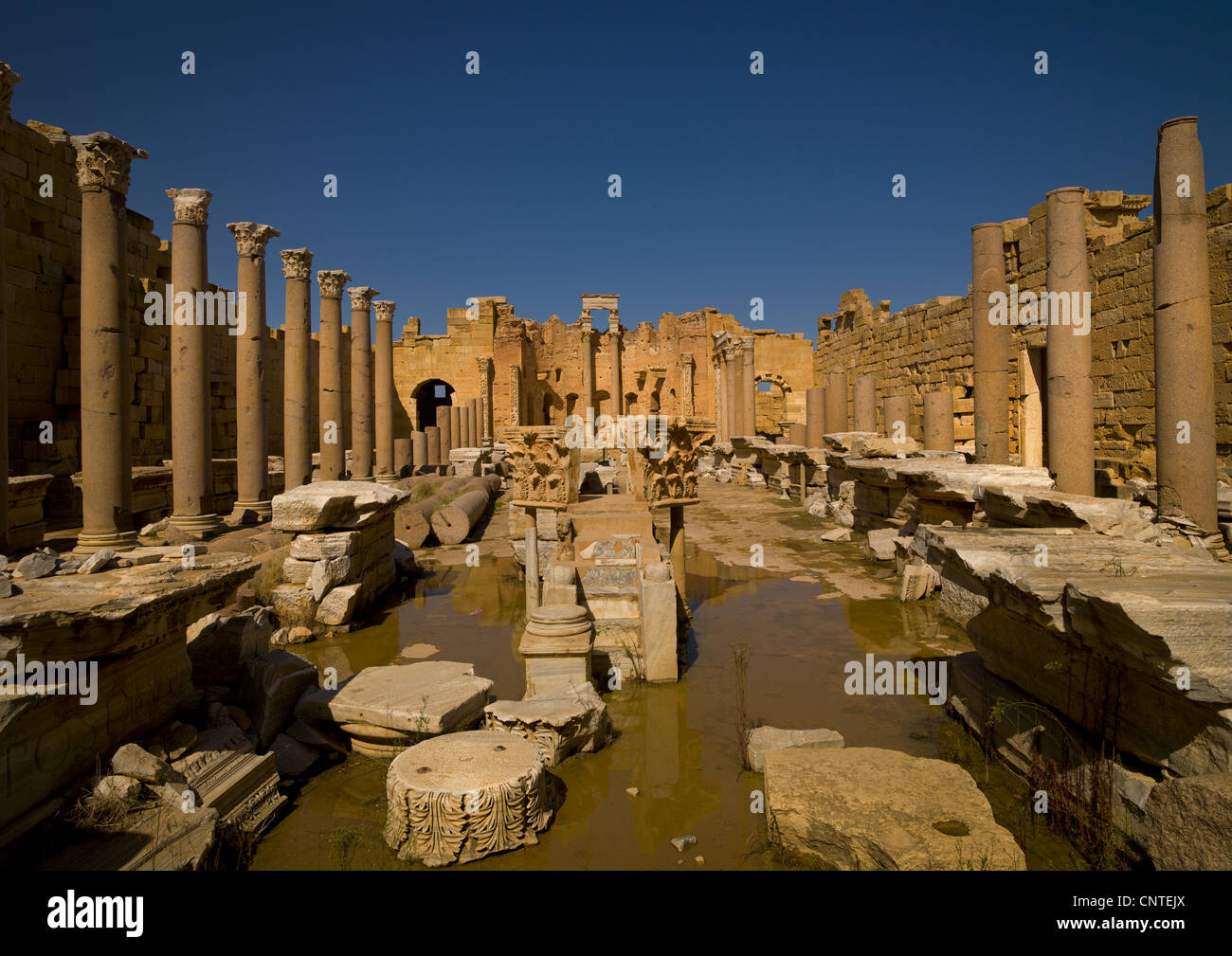 Libya tripolitania leptis magna hi-res stock photography and images - Alamy