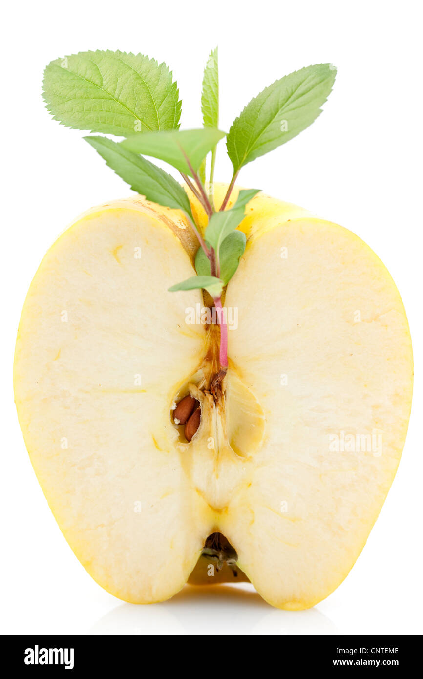 Pip fruit hi-res stock photography and images - Alamy