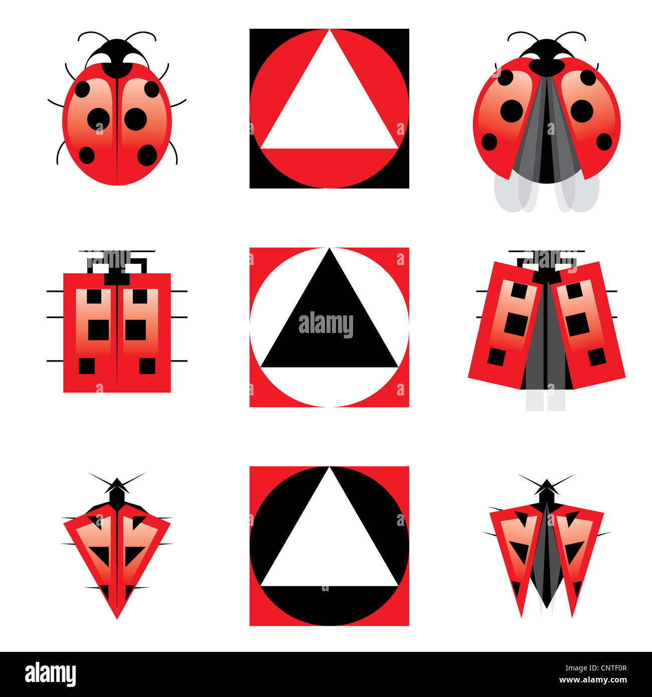 Conceptual Evolution of Ladybug. Illustration Stock Photo - Alamy
