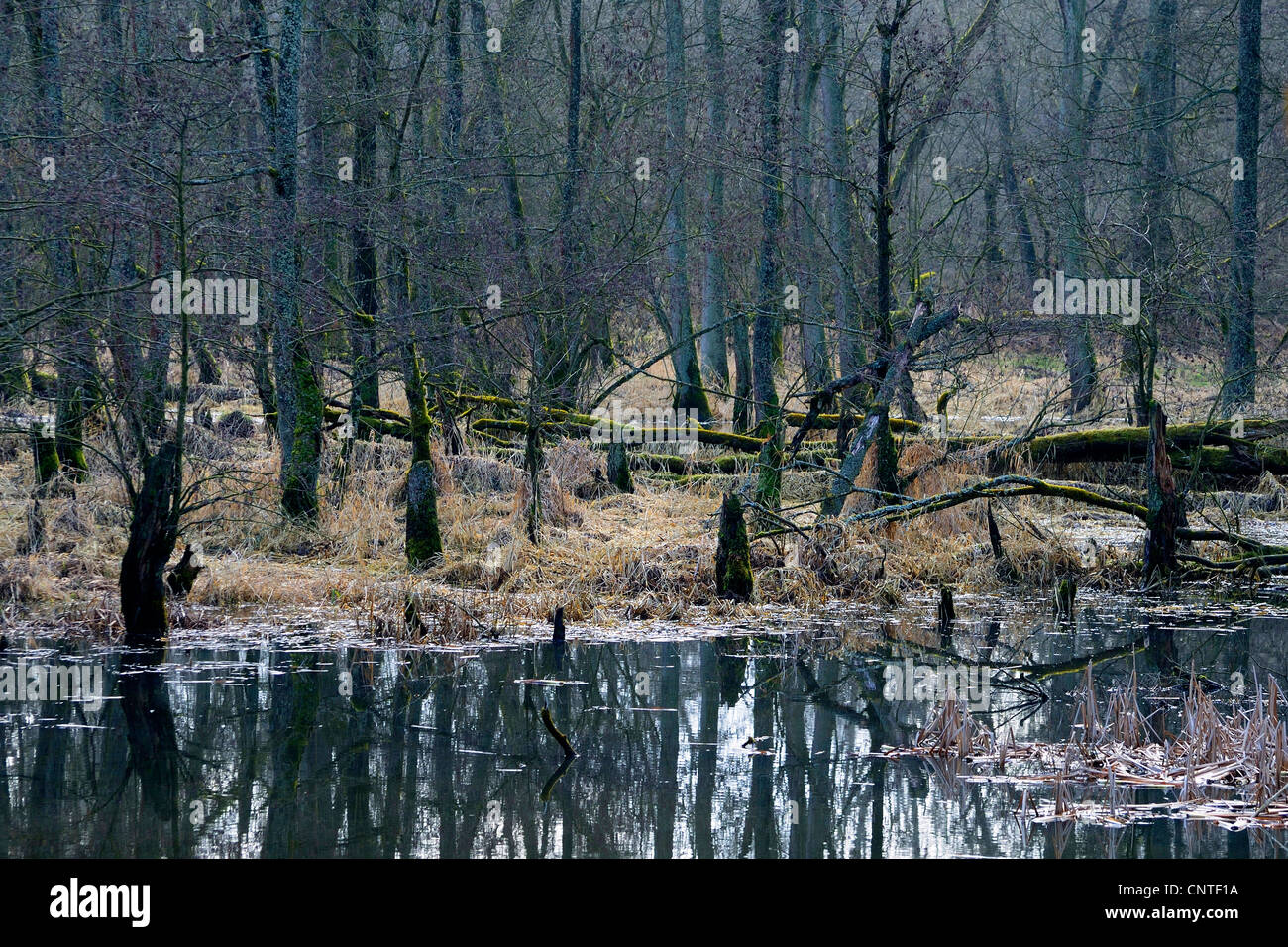 North german plains hi-res stock photography and images - Alamy