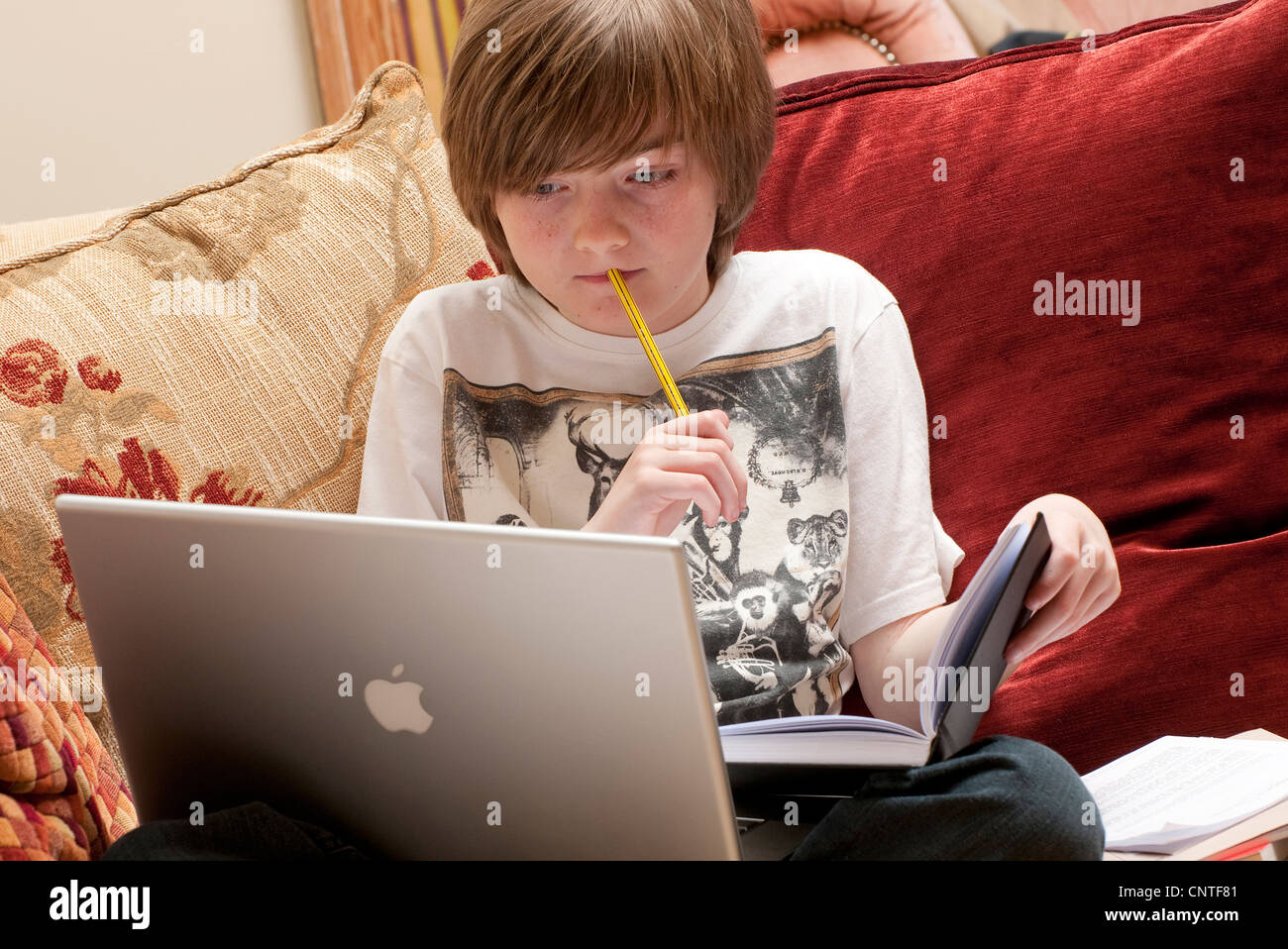 Boy 13 Years Doing Homework Stock Photos & Boy 13 Years Doing Homework ...