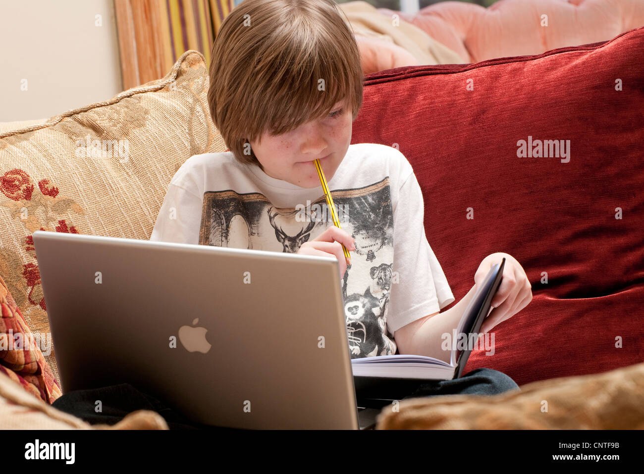 young male boy doing his homework Stock Photo - Alamy