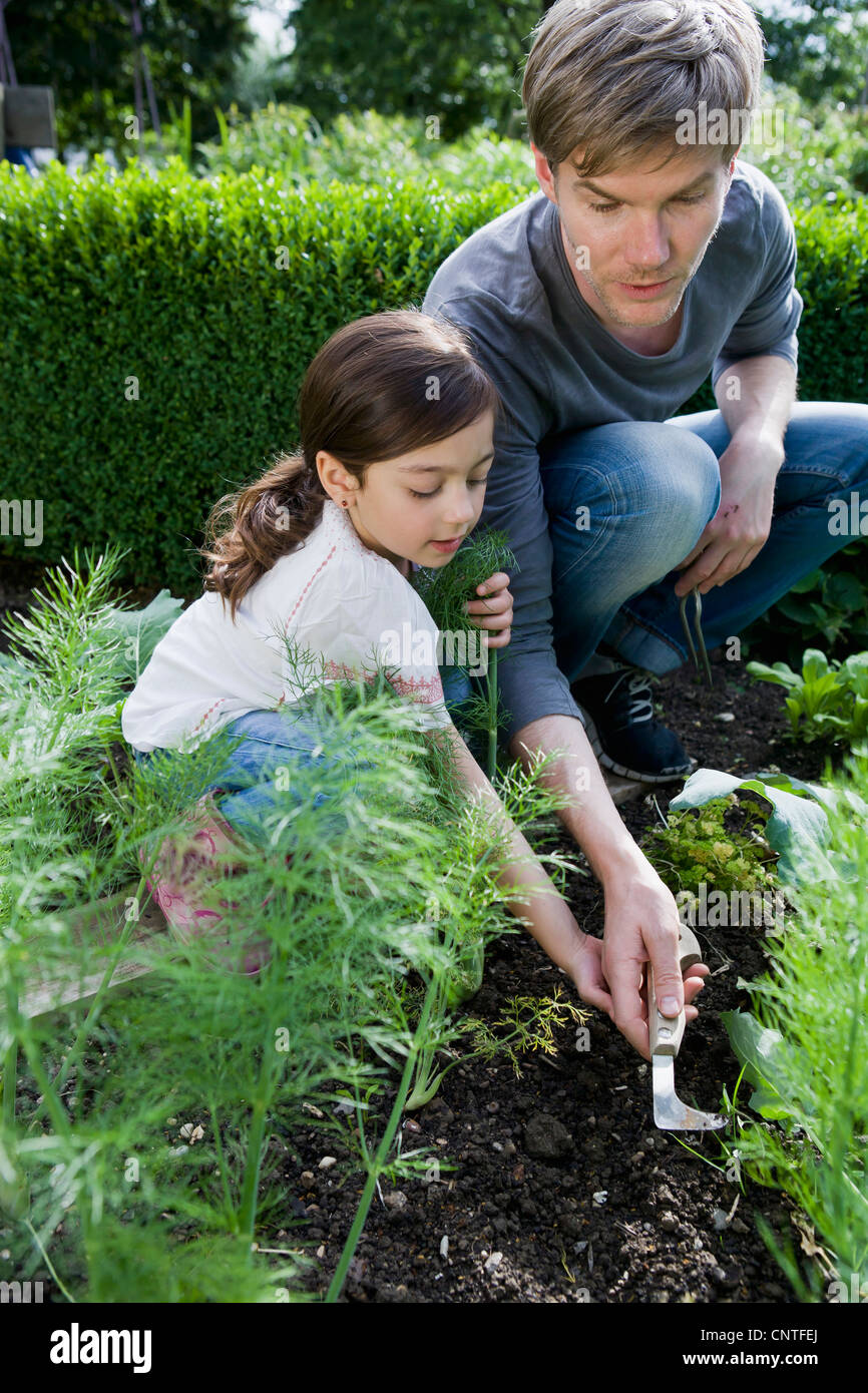 Father and daughter gardening together Stock Photo - Alamy