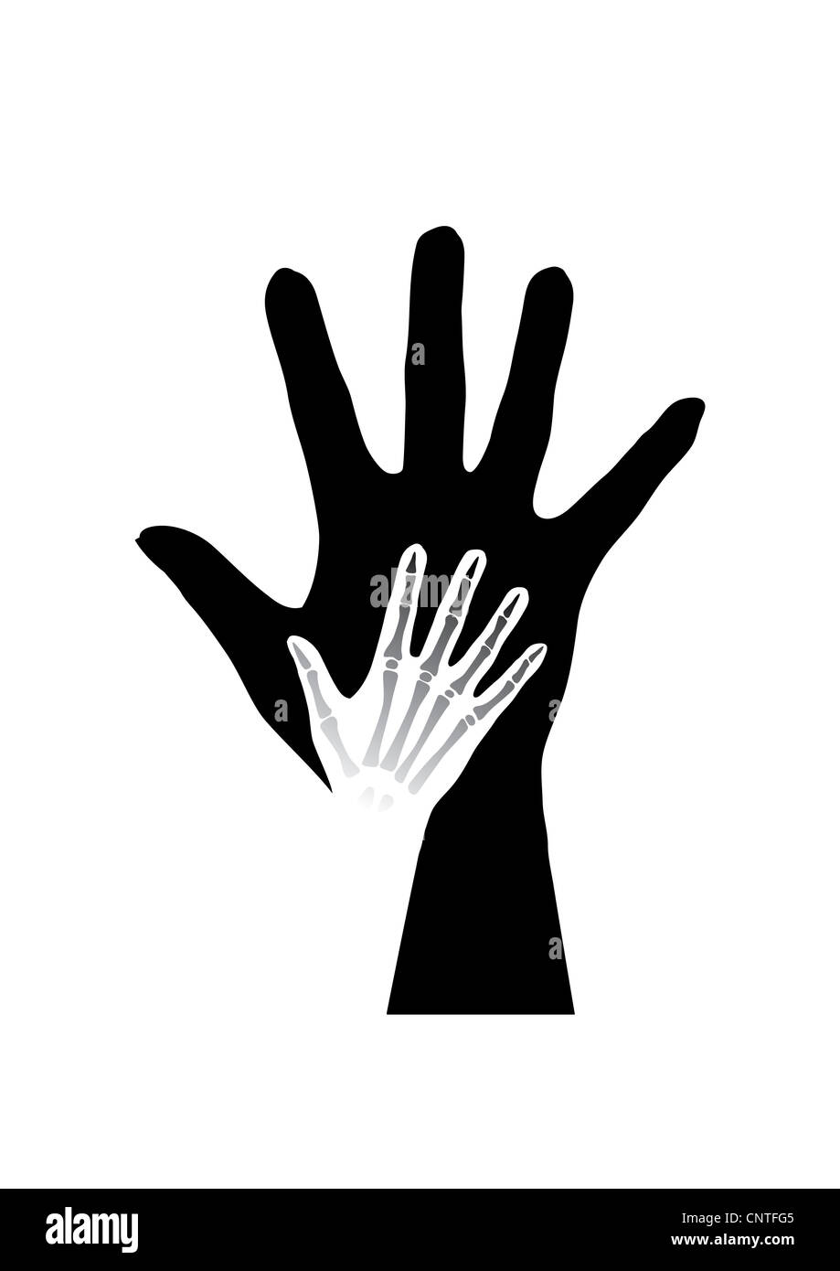 Stylized hands anatomy. Black and white illustration Stock Photo - Alamy