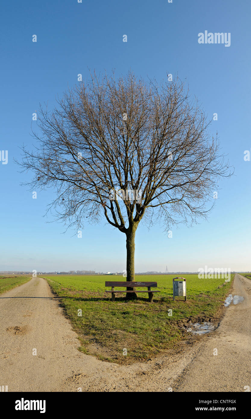 Parting of the ways hi-res stock photography and images - Alamy