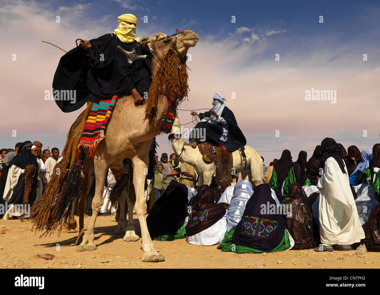Libya tuareg camel africa desert hi-res stock photography and images ...