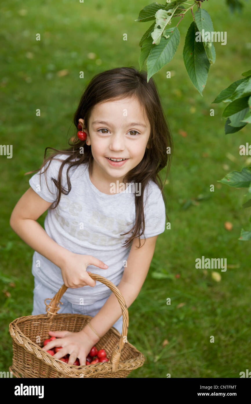 Girl gathering fruit in basket Stock Photo - Alamy