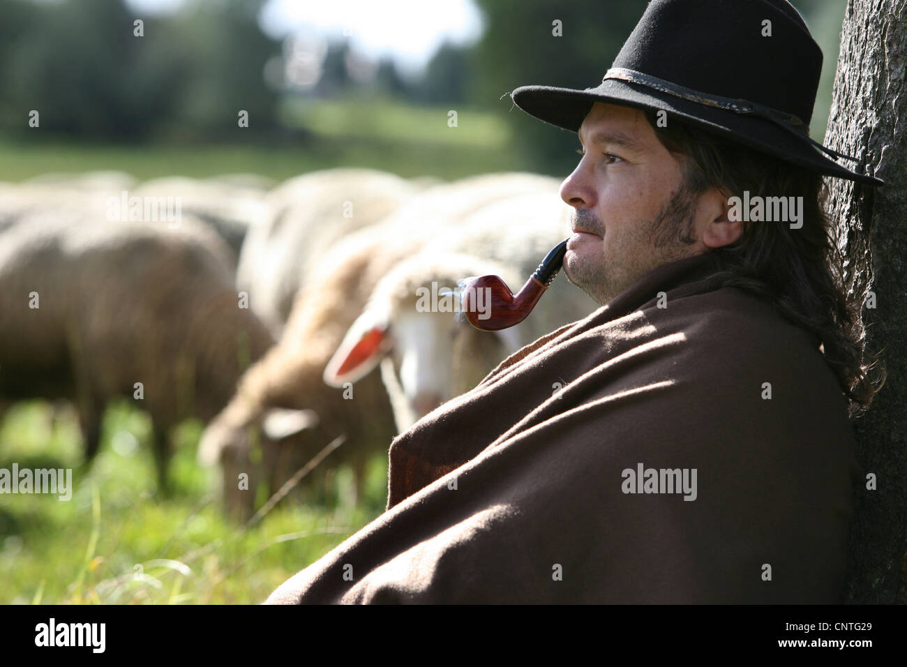 Pipe smoking shepherd High Resolution Stock Photography and Images - Alamy