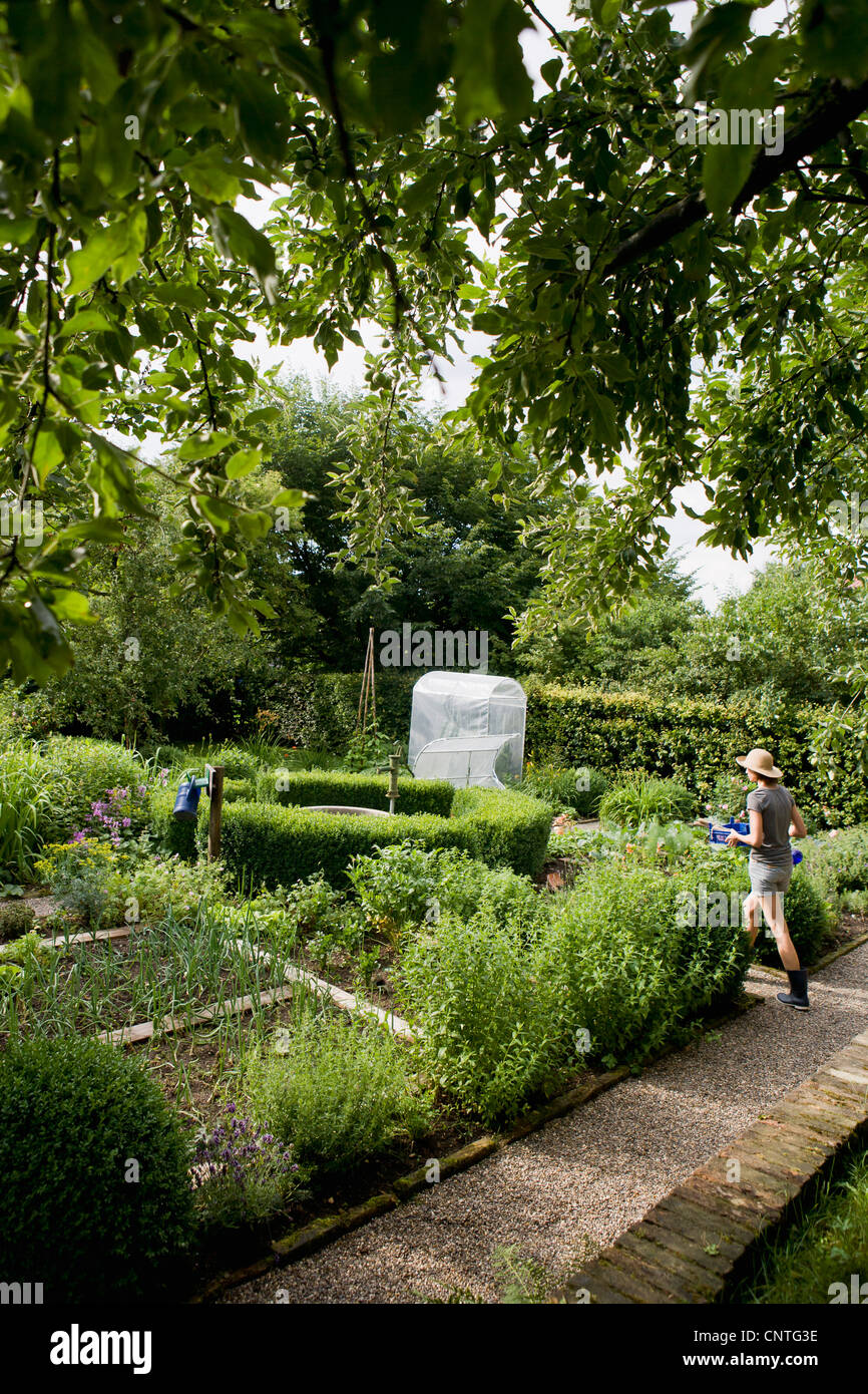 Woman gardening in backyard Stock Photo - Alamy