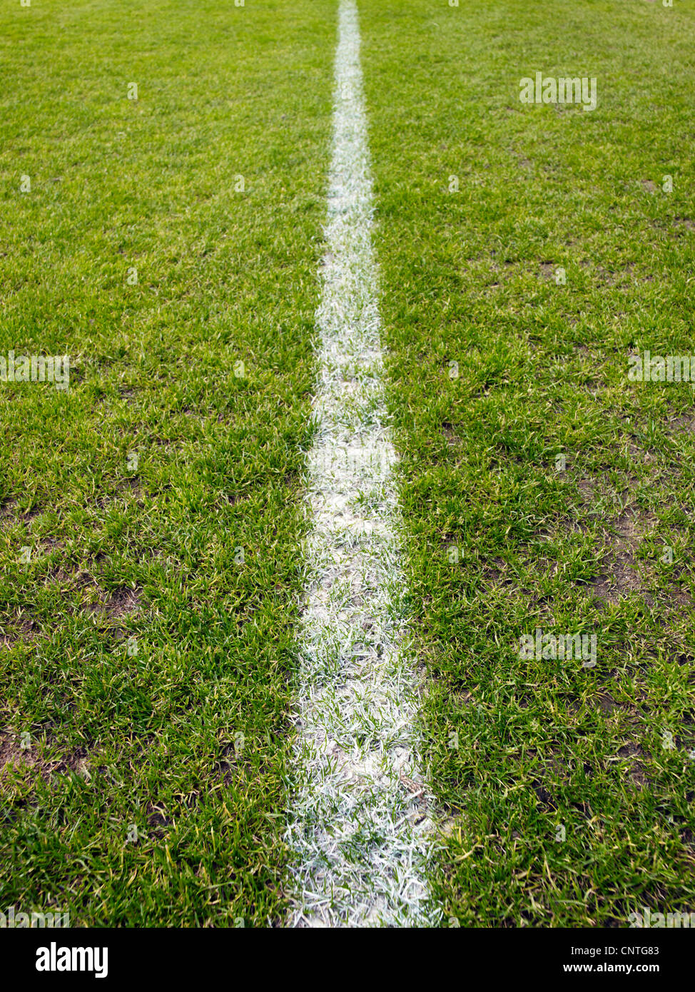 green grass touch line Stock Photo - Alamy