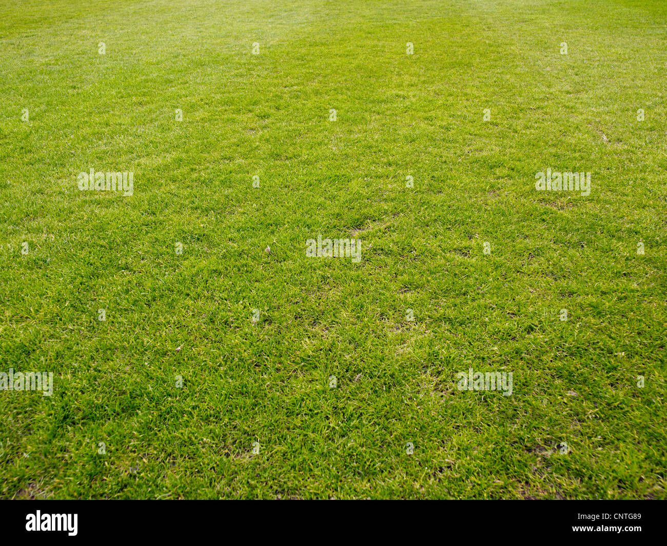 Football touch line hi-res stock photography and images - Alamy