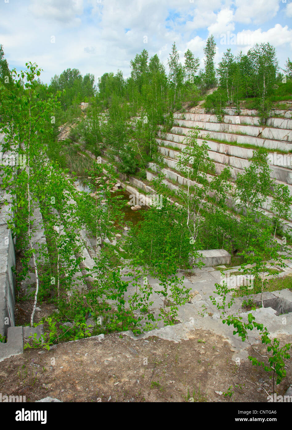 Old marble quarry overgrown with young trees Stock Photo - Alamy