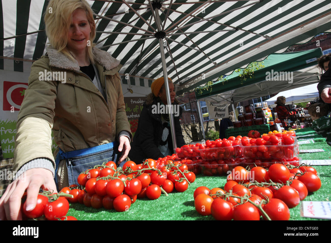 Tomatoes vine picking farmers hi-res stock photography and images - Alamy