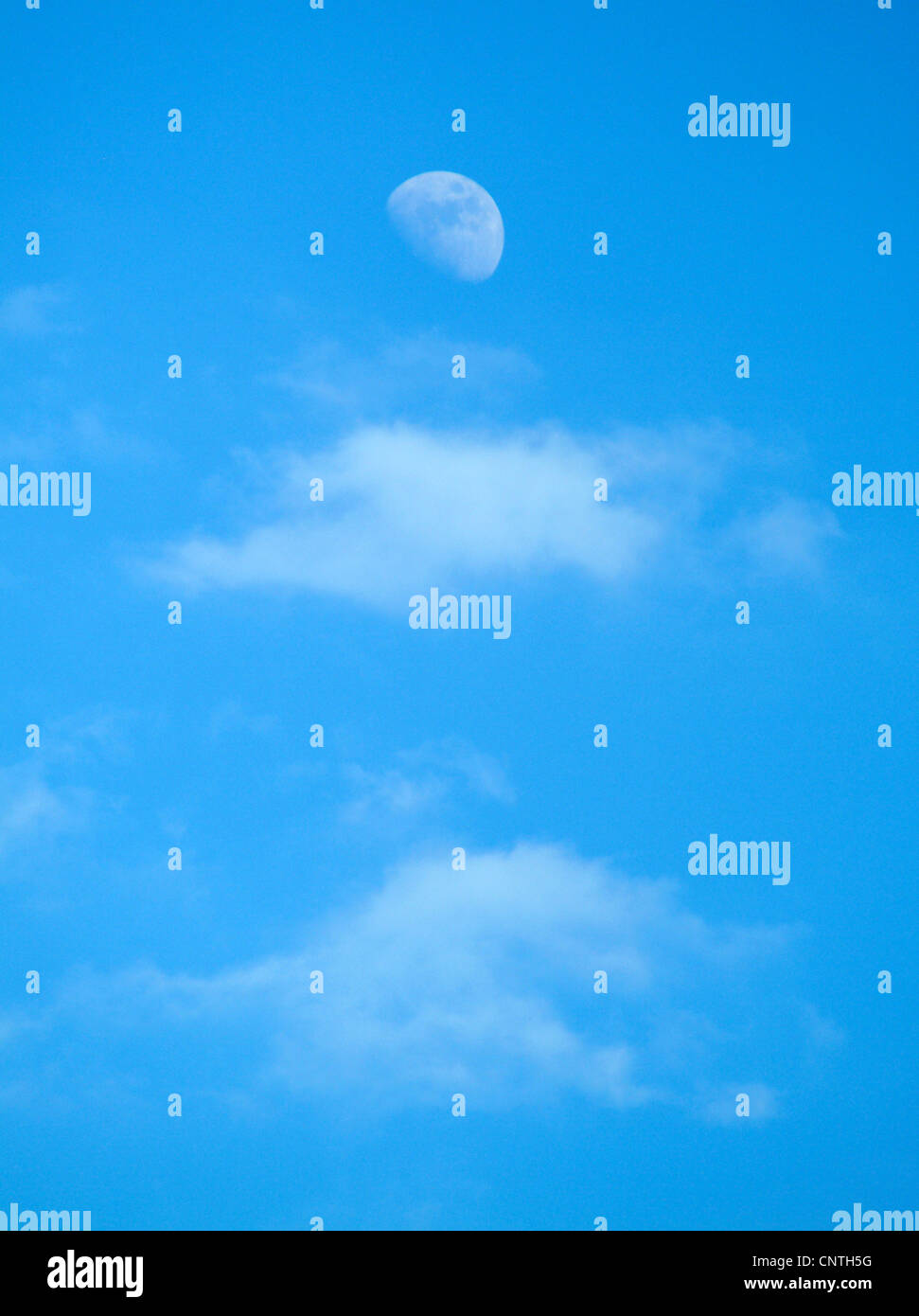 moon in blue sky Stock Photo - Alamy