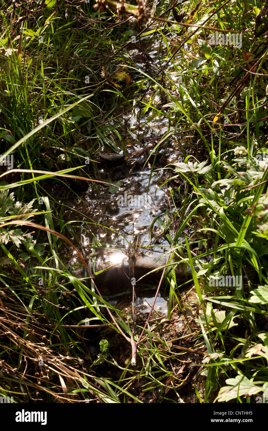 The unimposing Ruhr well, Germany, North Rhine-Westphalia, Sauerland ...