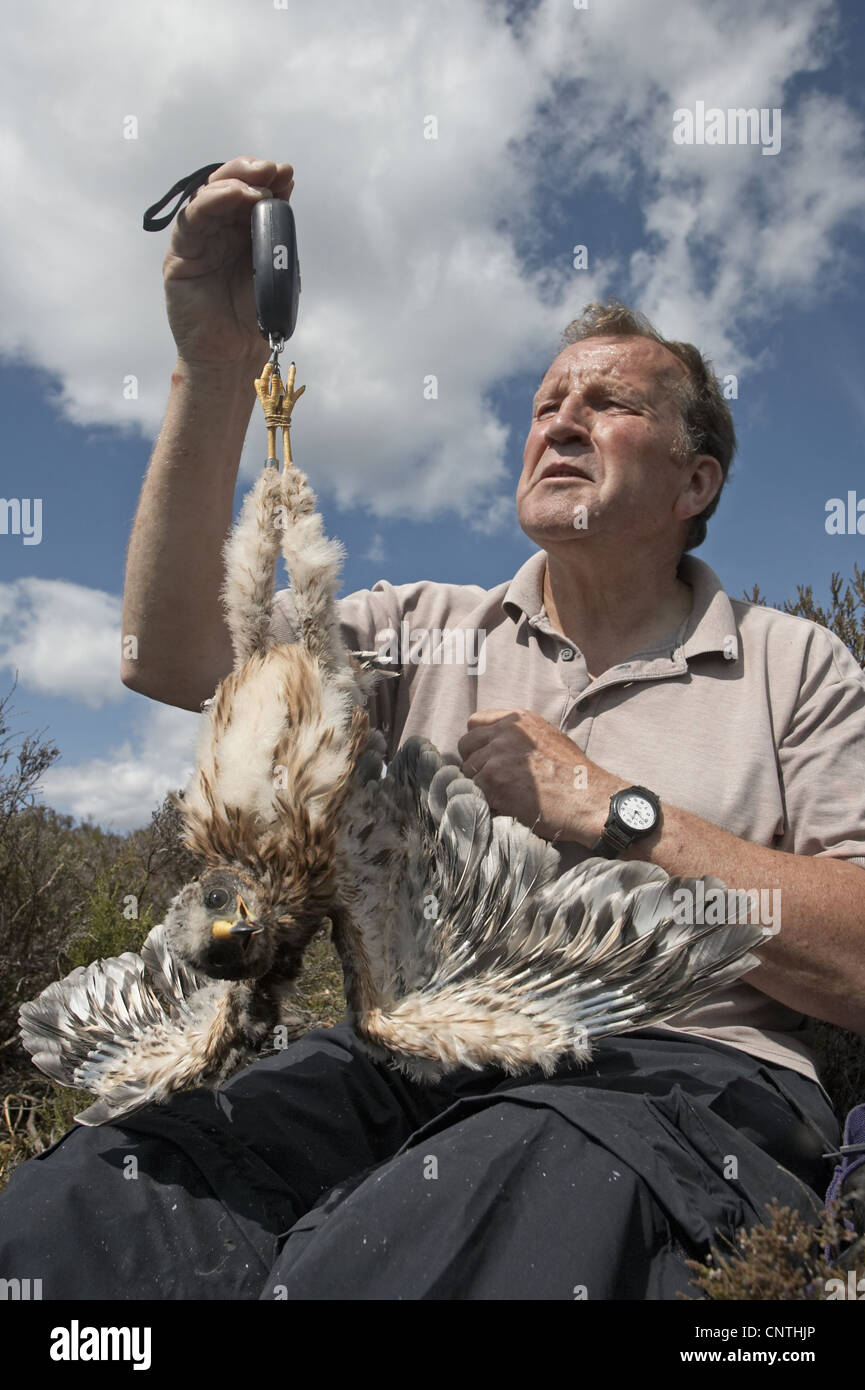 Scientist natural observation child hi-res stock photography and images ...
