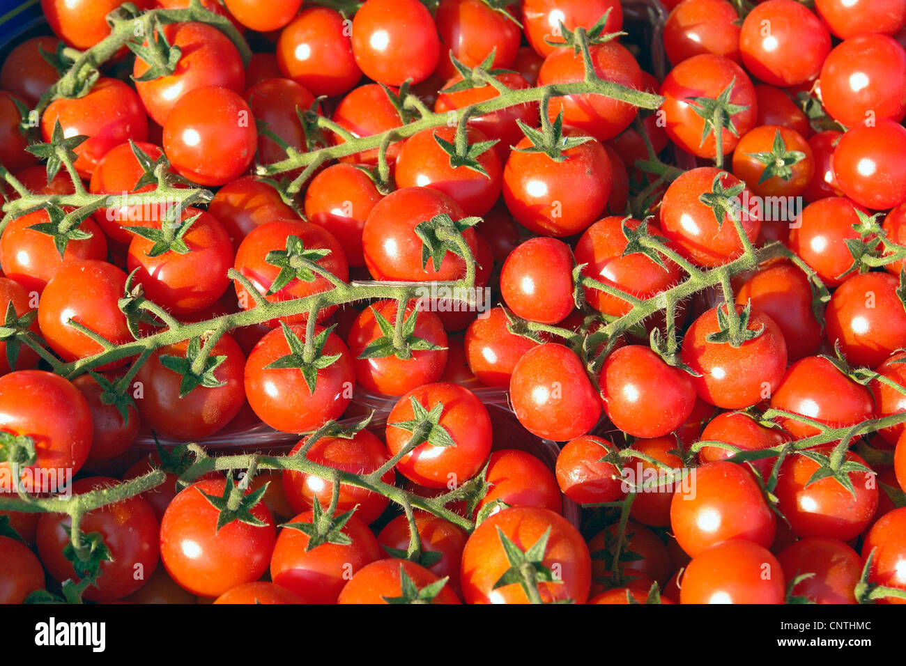 Tomato truss hi-res stock photography and images - Alamy
