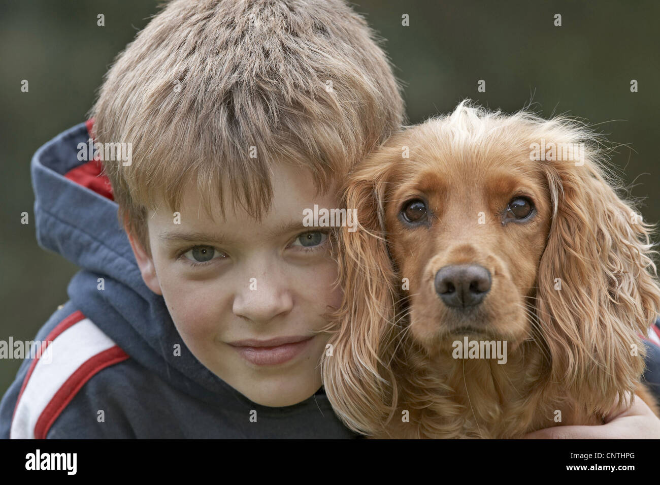 Child and cocker spaniel hi-res stock photography and images - Alamy