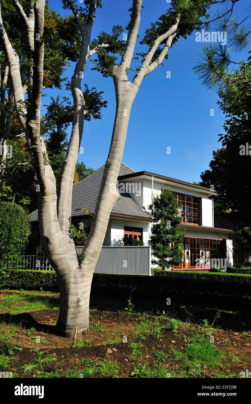 House of Okawa in Den'enchofu, Edo-Tokyo Open Air Architectural Museum ...