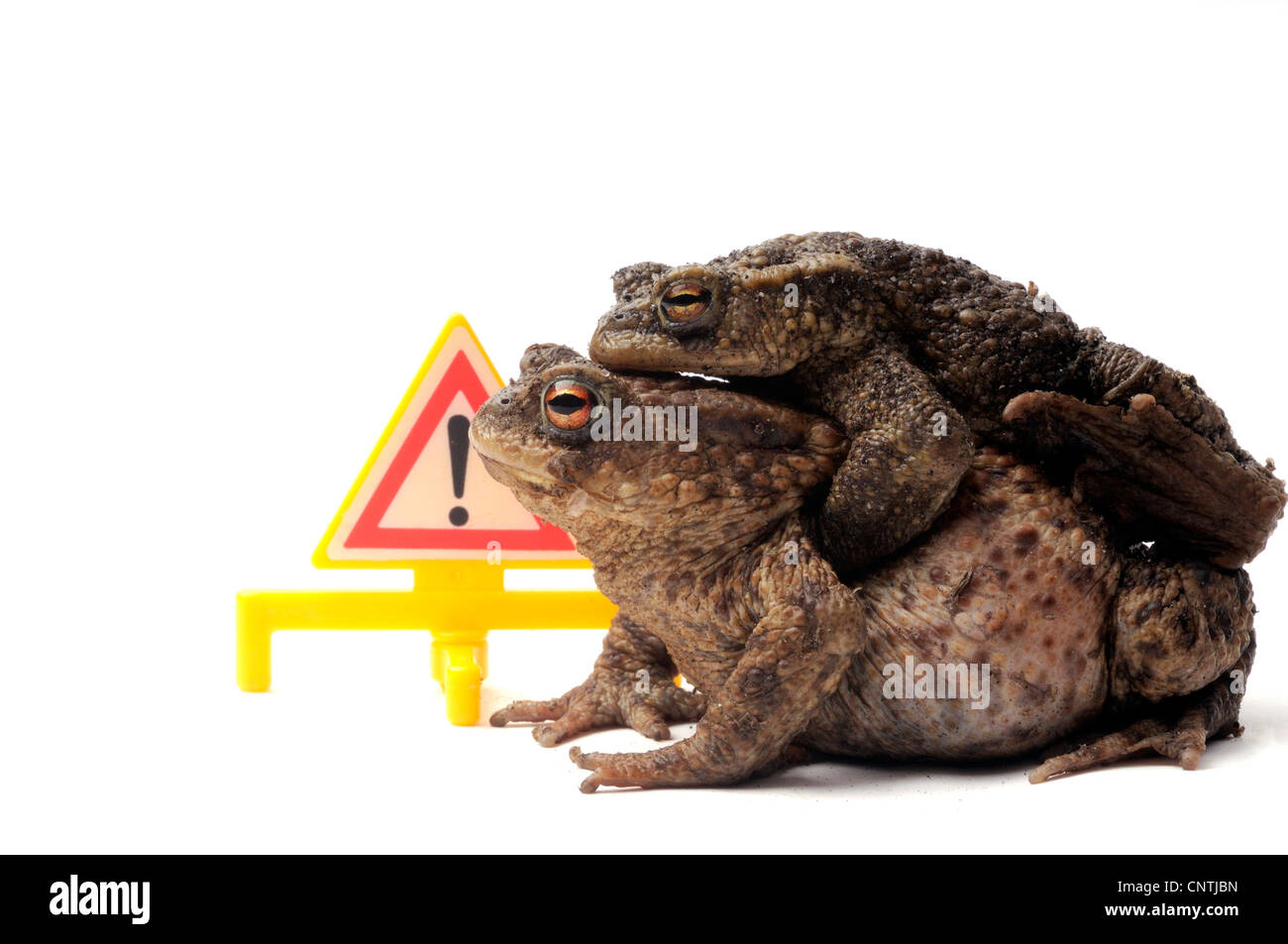 Traffic signs in front of Cut Out Stock Images & Pictures - Alamy