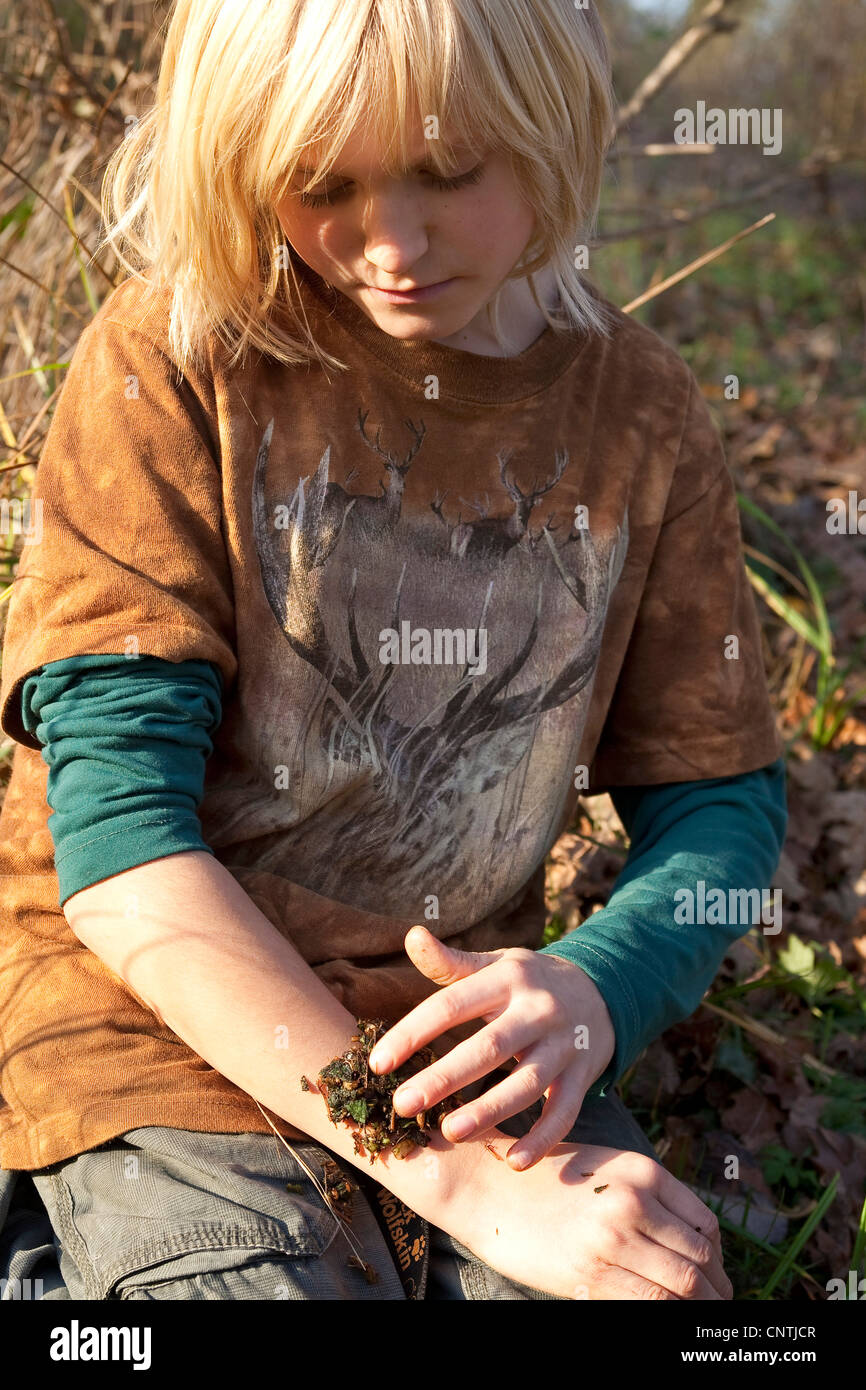 1 symphytum officinale hi-res stock photography and images - Alamy