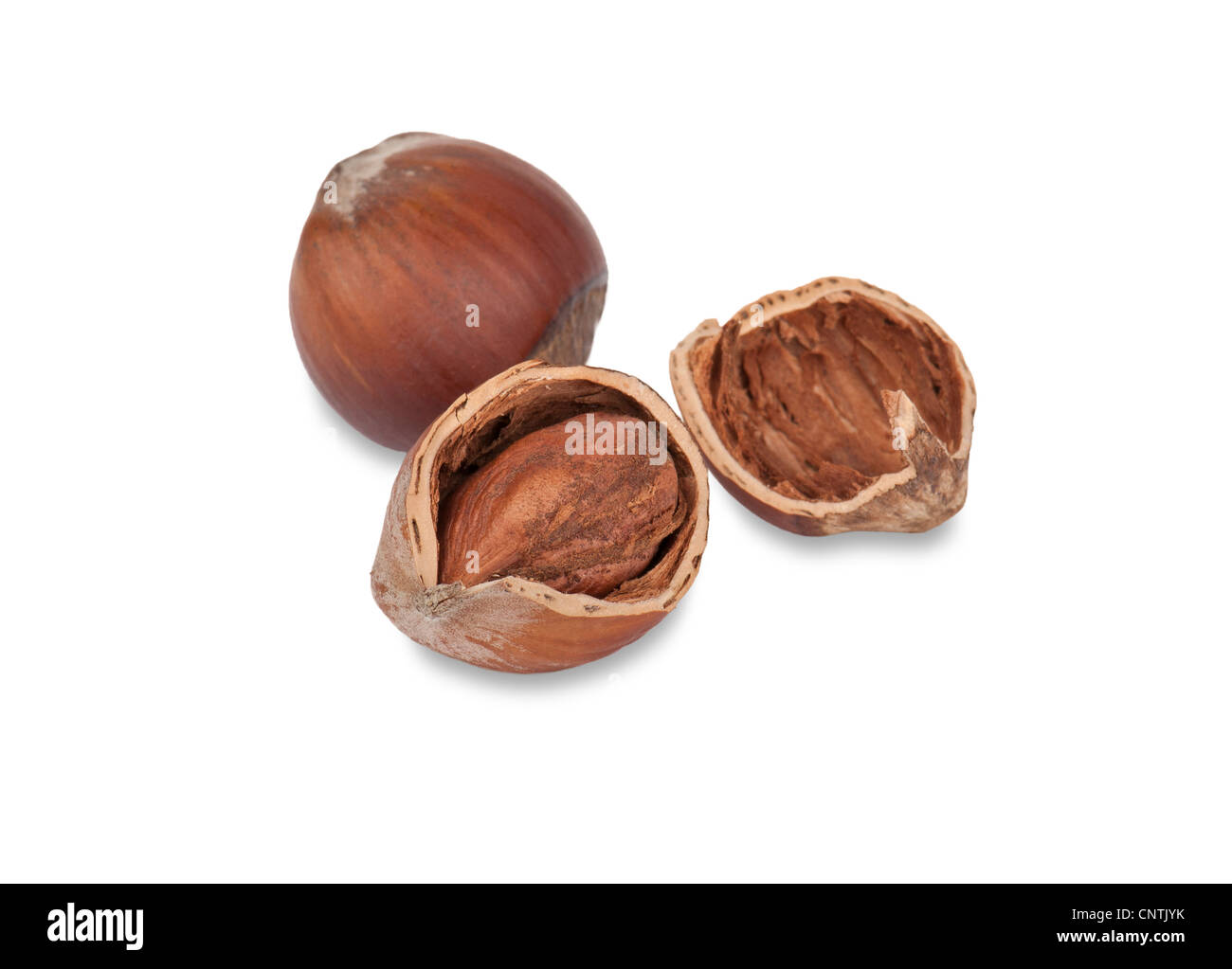 Two nuts hi-res stock photography and images - Alamy