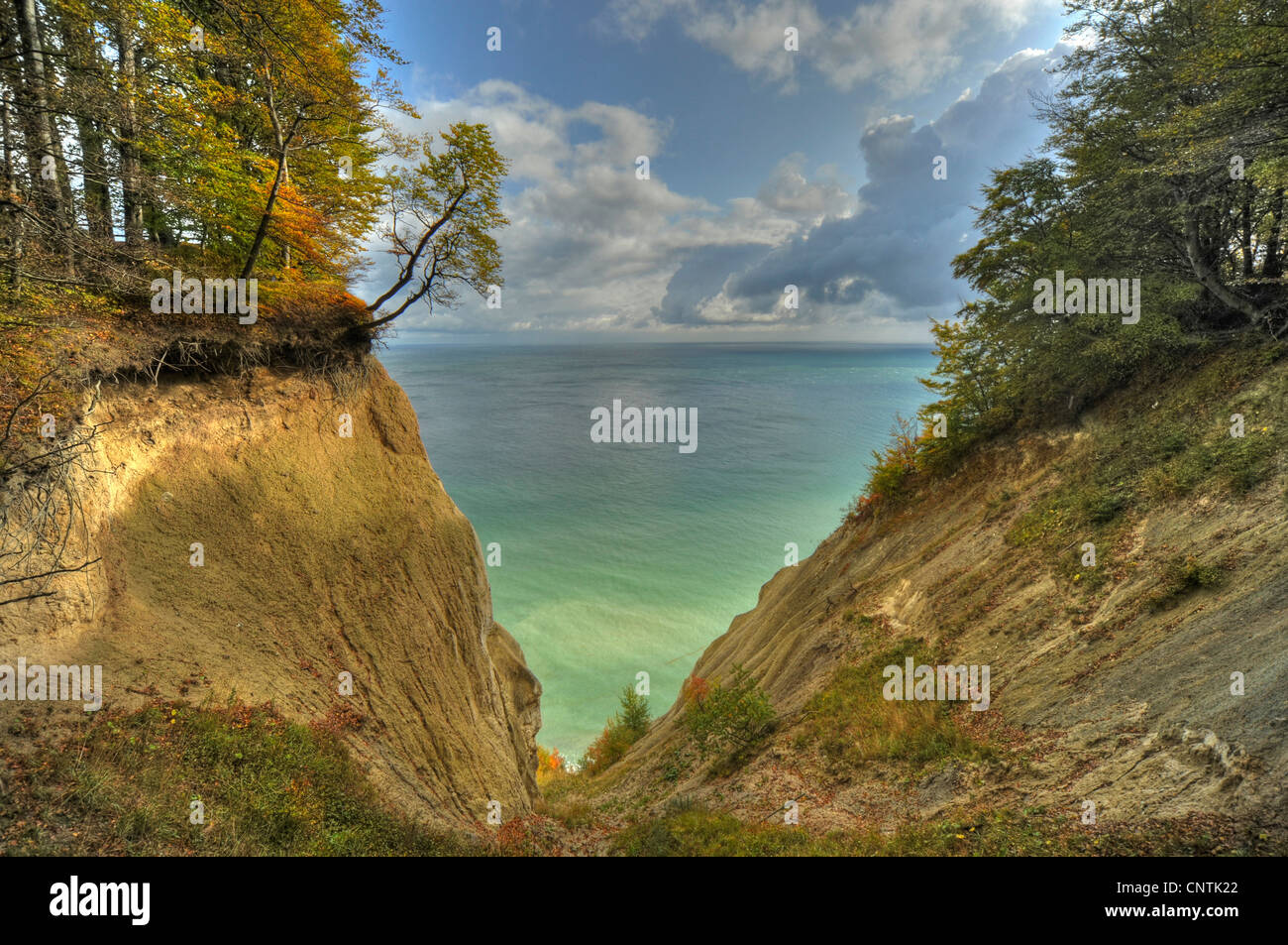 Chalk cliff denmark moen tourist hi-res stock photography and images ...