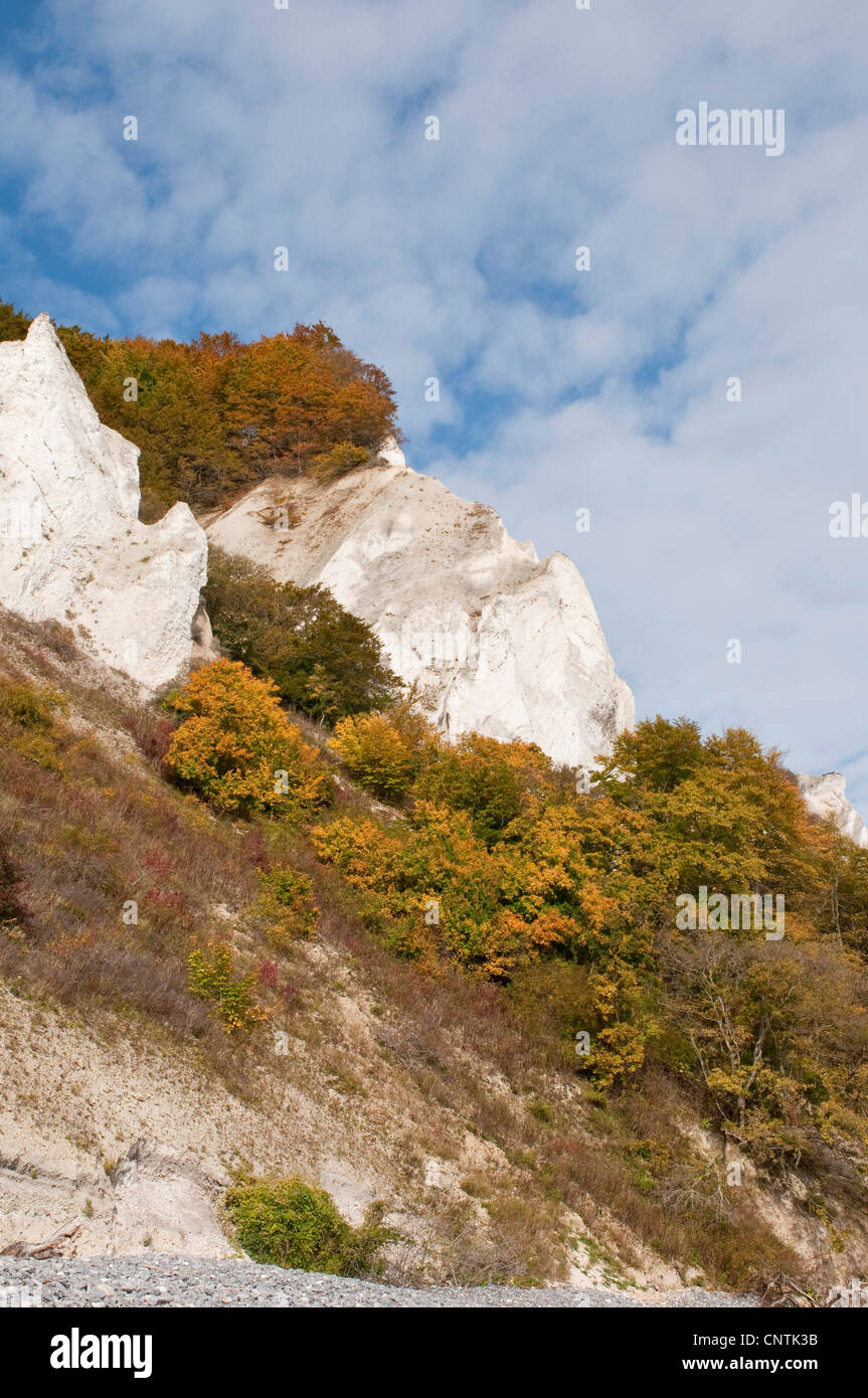 chalk cliffs on Moen Island, Denmark, Moen Stock Photo - Alamy