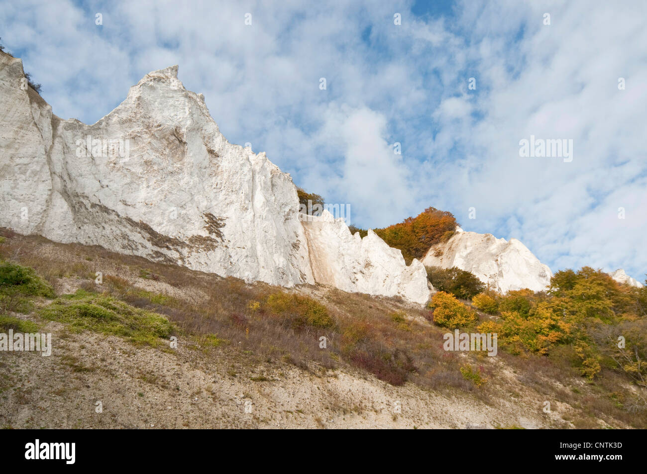 Chalk cliff denmark moen tourist hi-res stock photography and images ...