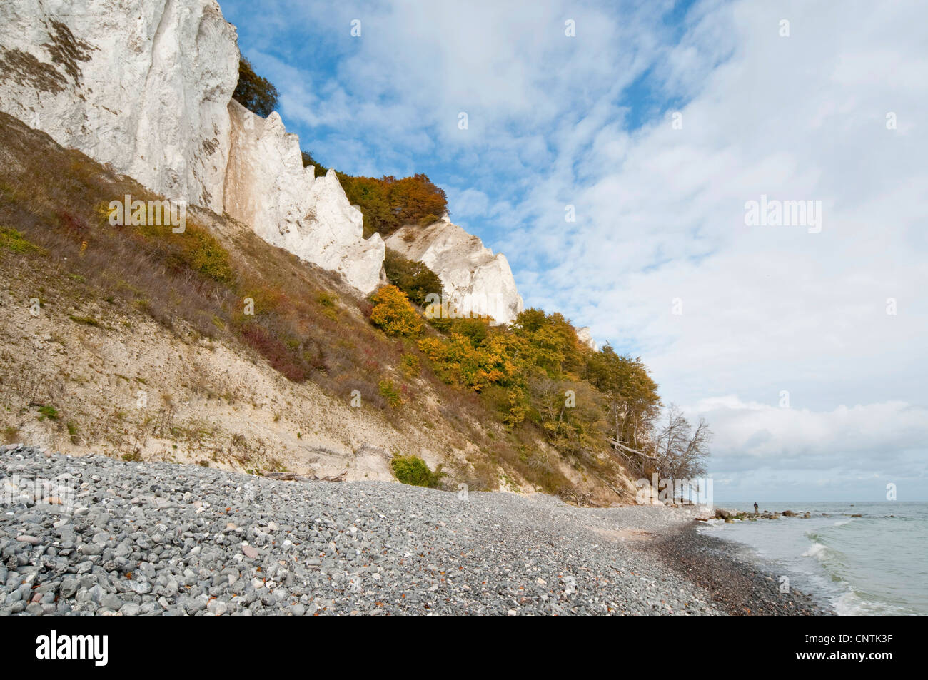 chalk cliffs on Moen Island, Denmark, Moen Stock Photo - Alamy