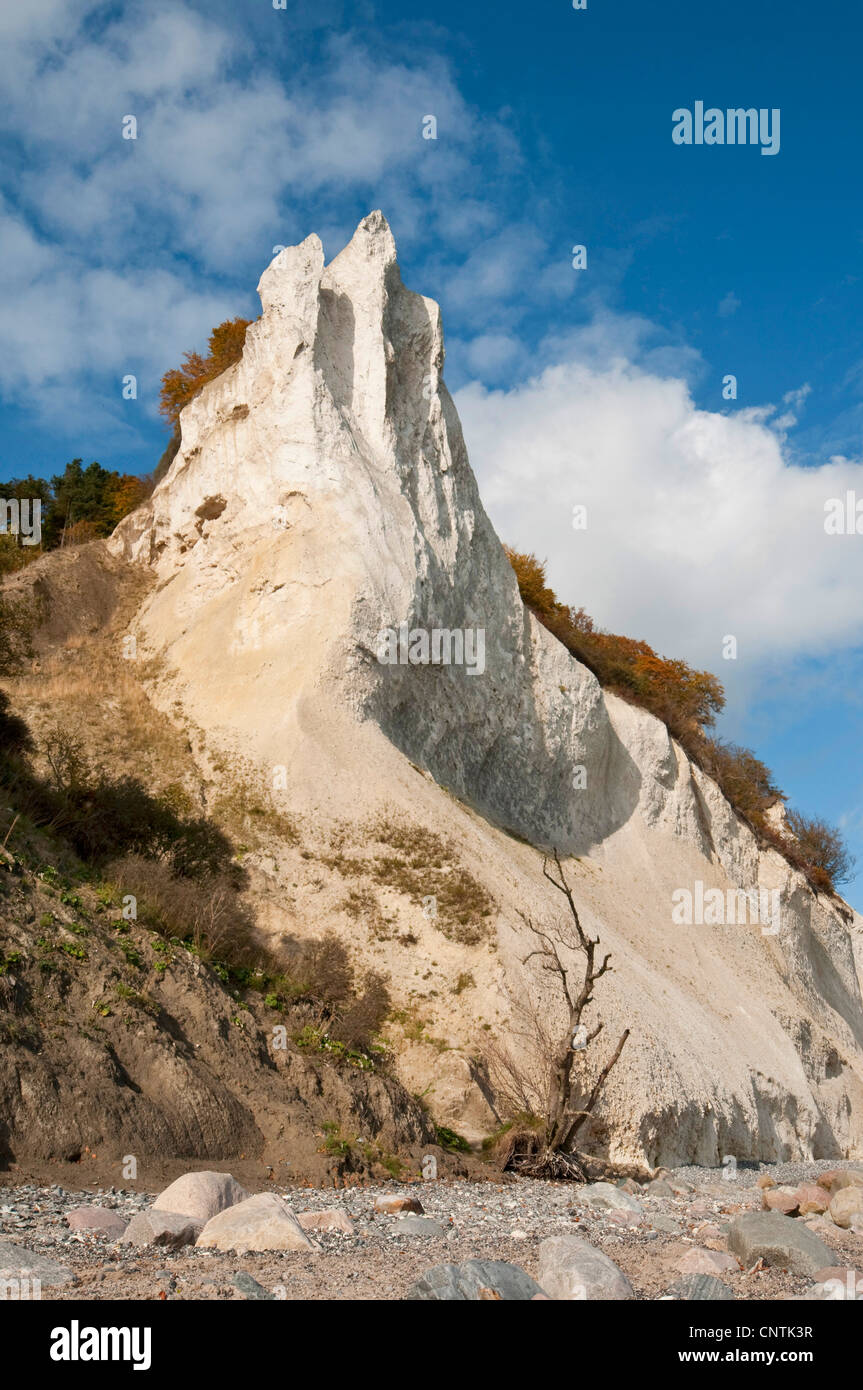 chalk cliffs on Moen Island, Denmark, Moen Stock Photo - Alamy