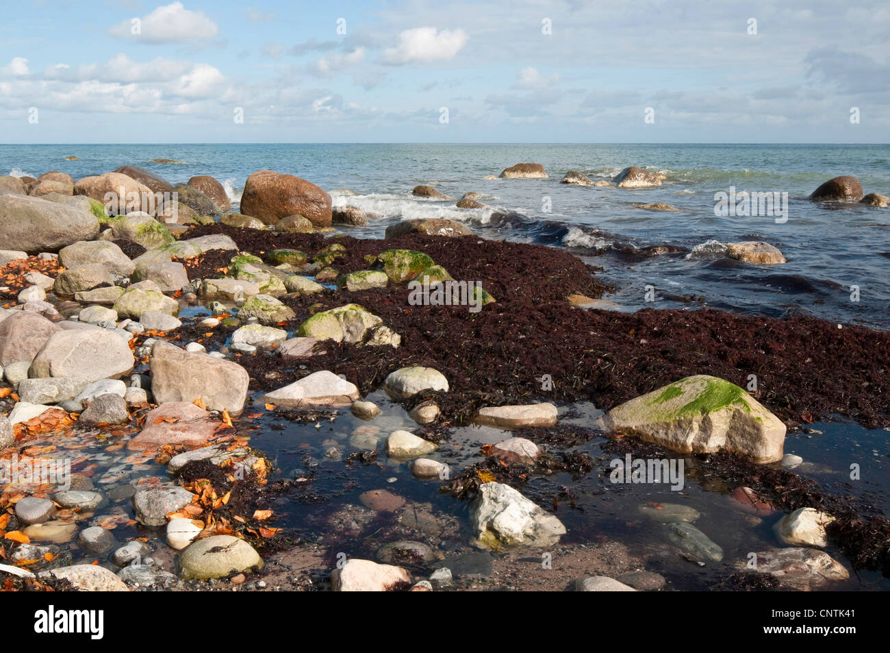 Danish north sea coast hi-res stock photography and images - Alamy