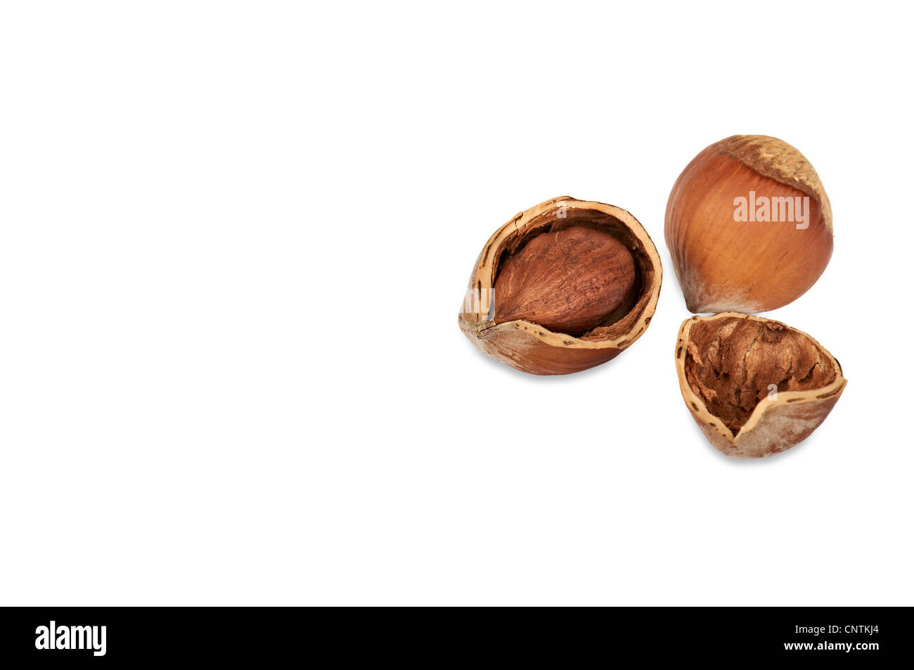 Hazelnut cracked open hi-res stock photography and images - Alamy