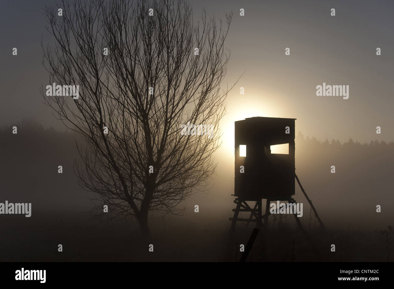 Stand in mist hi-res stock photography and images - Alamy