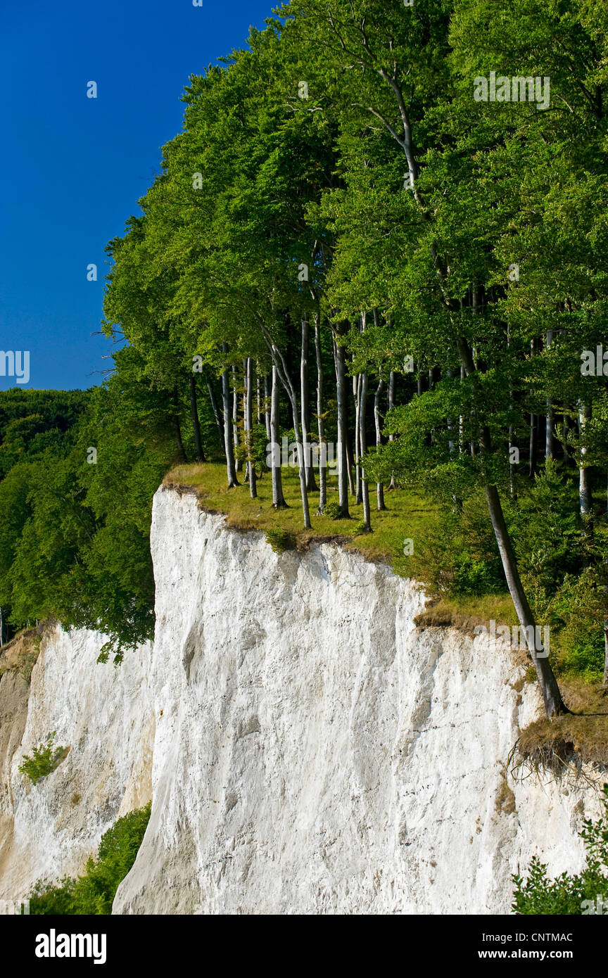 Chalk cliff faces hi-res stock photography and images - Alamy