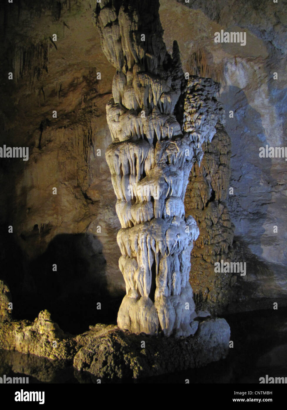 Stalagmites and stalactites in large cavern, USA, New Mexico, Carlsbad ...