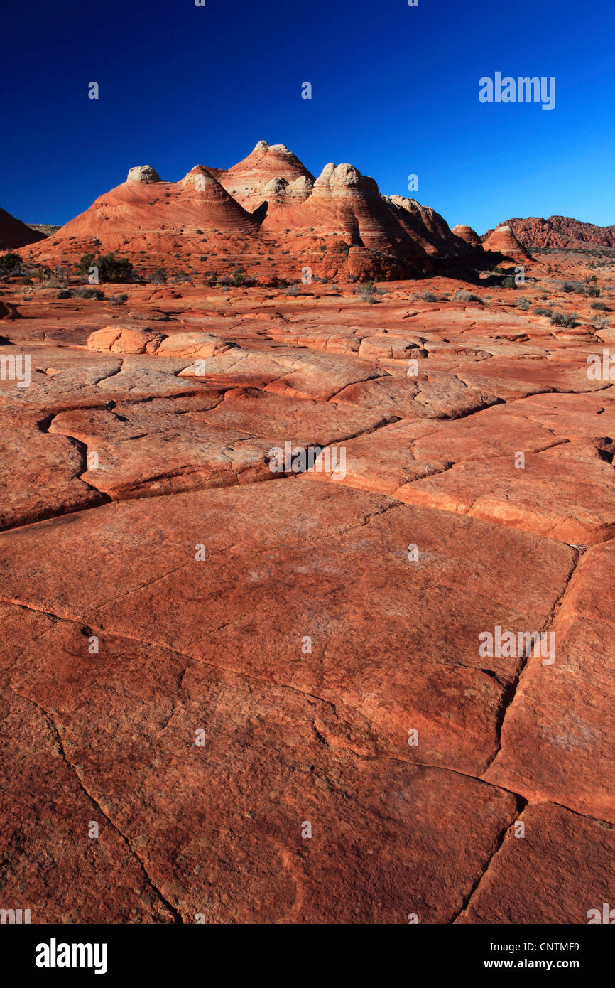 Coyote Buttes North, USA, Arizona, Coyote Buttes North, Page Stock ...