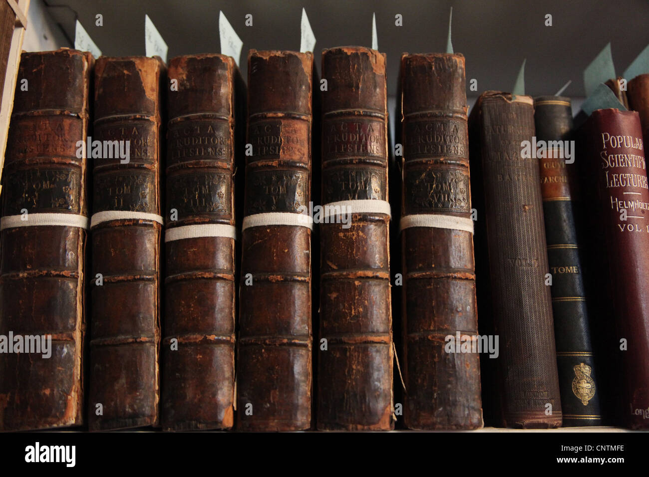 Historic library philosophy shelves hi-res stock photography and images ...