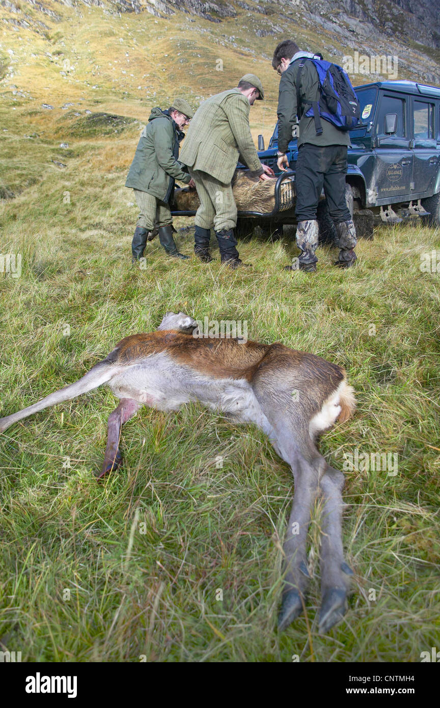 Death of rangers hi-res stock photography and images - Alamy