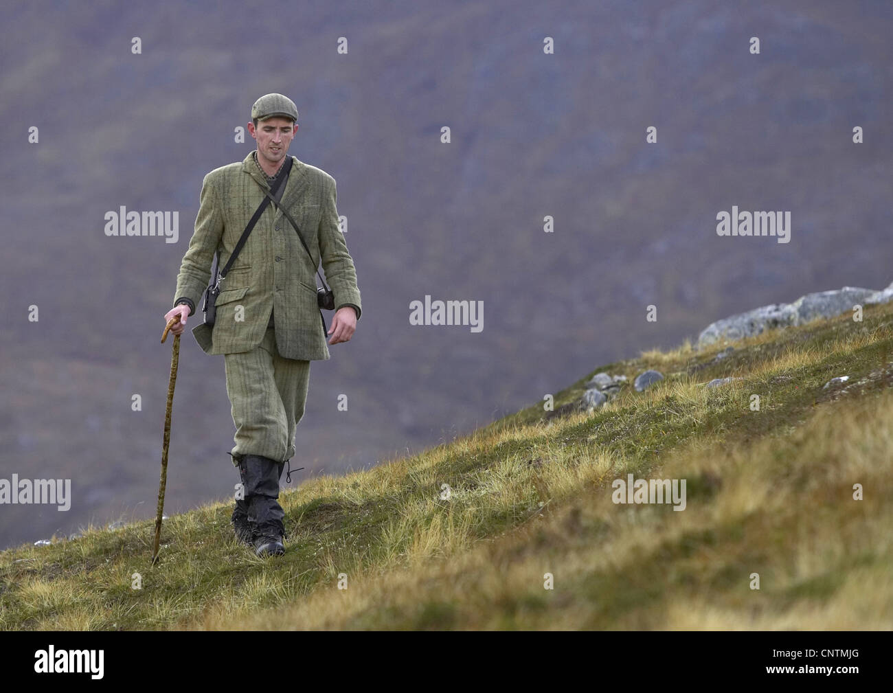 stalker walking over a mountain meadow, United Kingdom, Scotland ...