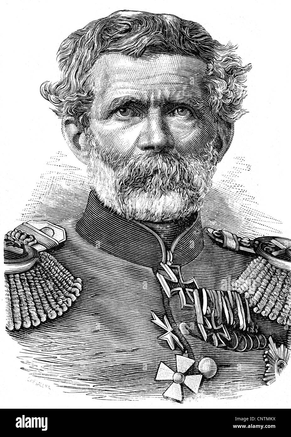 Manteuffel field hi-res stock photography and images - Alamy