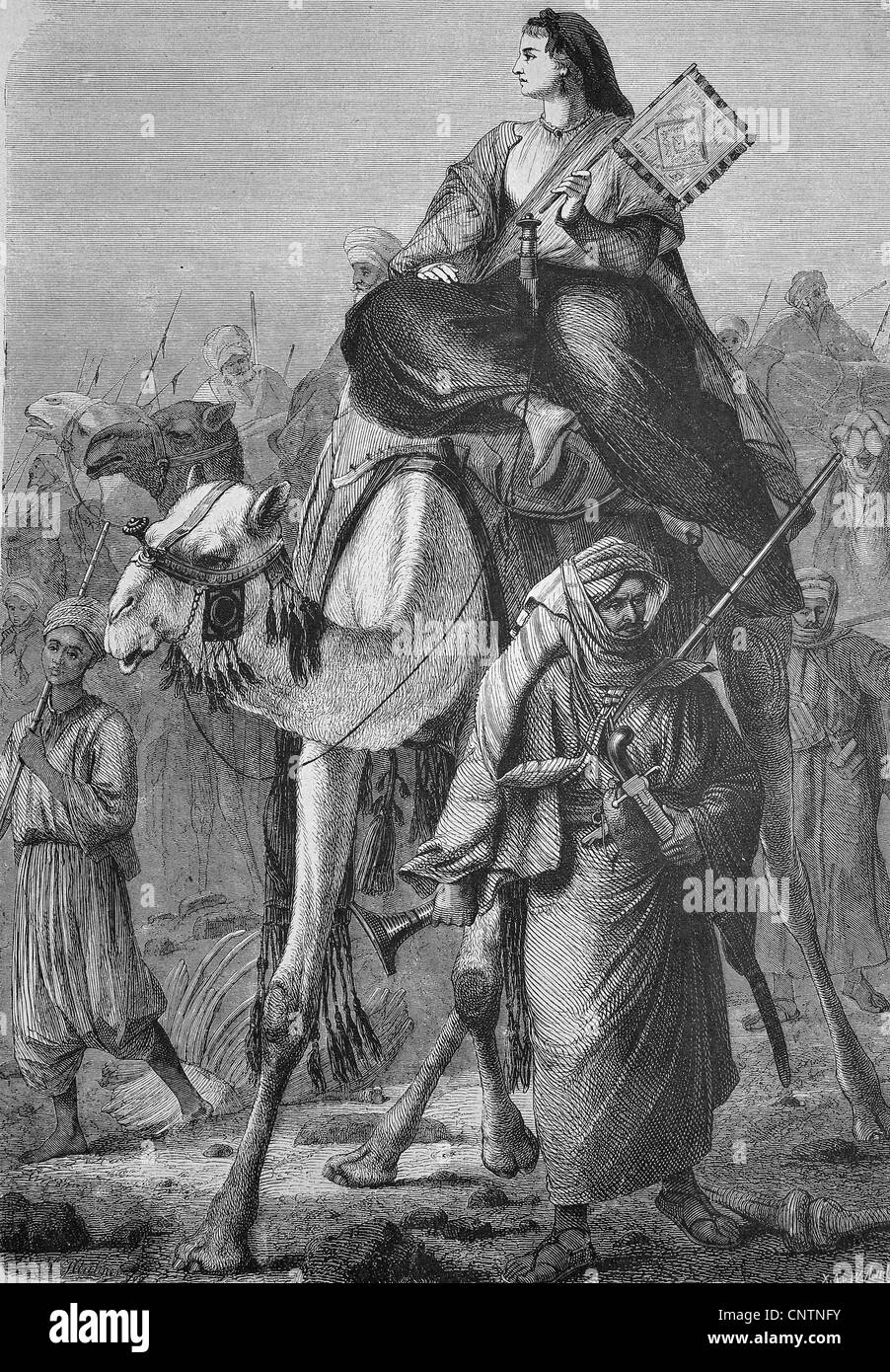 Alexandrine hi-res stock photography and images - Alamy