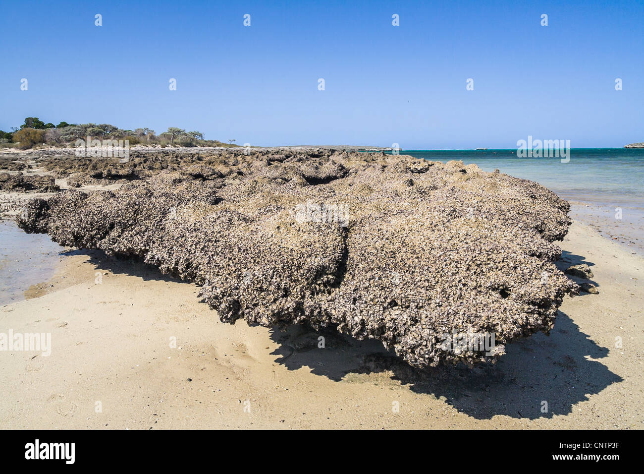 Seascape on the lagoon of Andavadoaka, southwestern Madagascar Stock ...