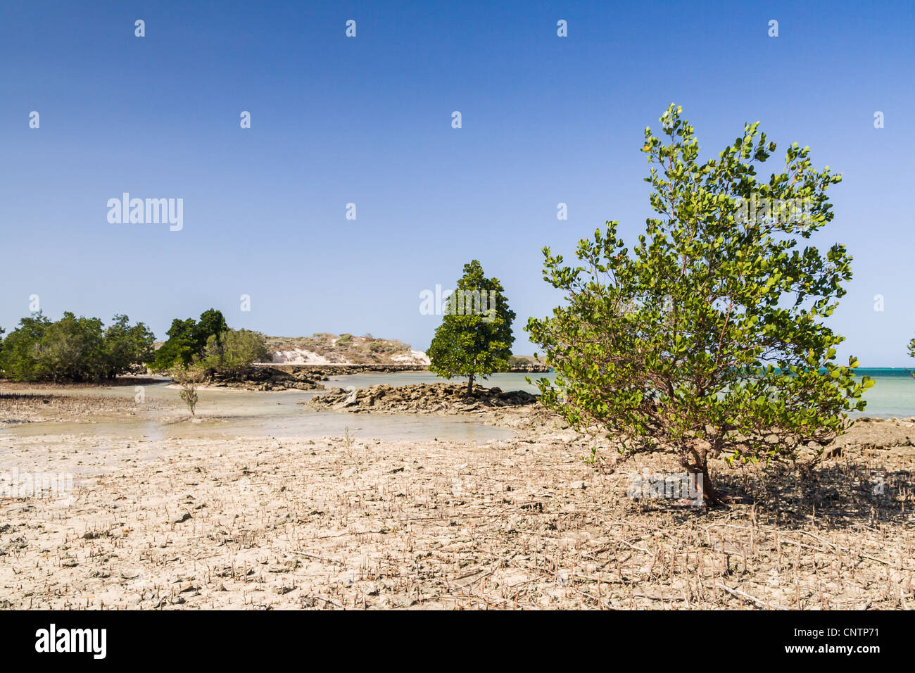 Seascape on the lagoon of Andavadoaka, southwestern Madagascar Stock ...