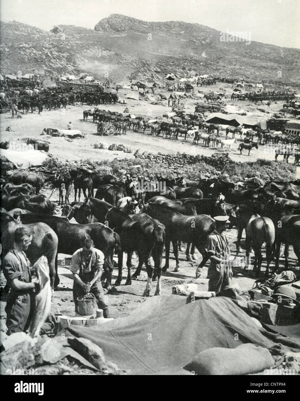 GALLIPOLI CAMPAIGN- British IX Corps land at Suvla Bay on 7 August 1915 ...