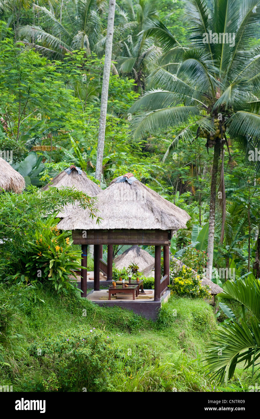 Luxury tropical resort fields hi-res stock photography and images - Alamy