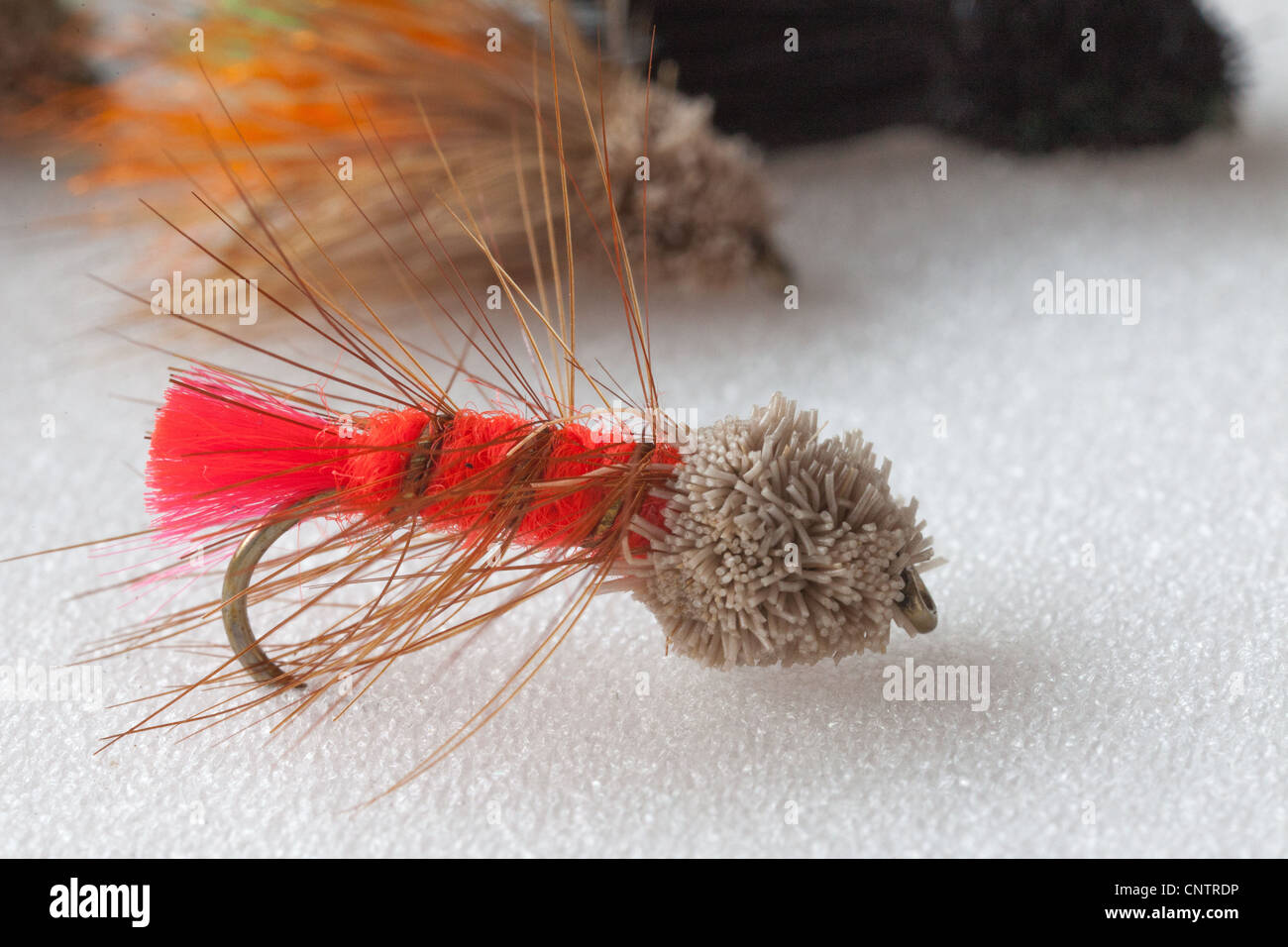 trout fly deer head nymph Stock Photo - Alamy