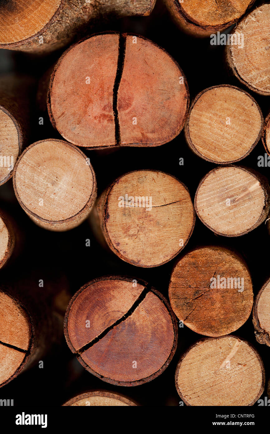 Close up of stacked logs Stock Photo - Alamy