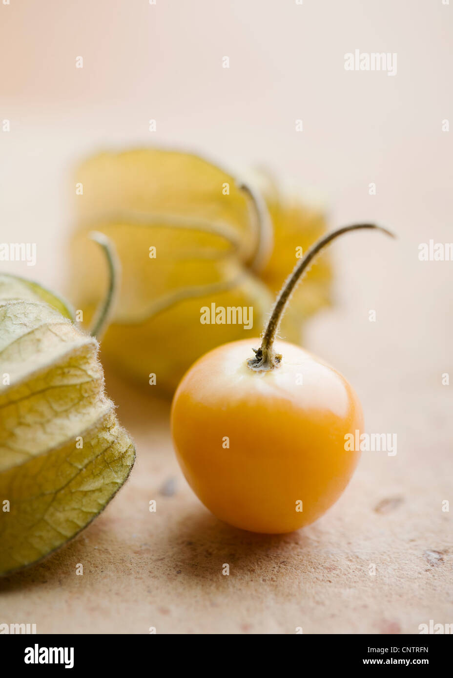 Close up of cherry tomato Stock Photo - Alamy